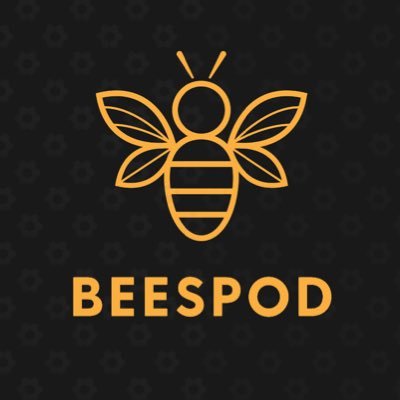 OPPOSITION Q&A – BARNET FC by @BeesPod – TORQUAYTALK