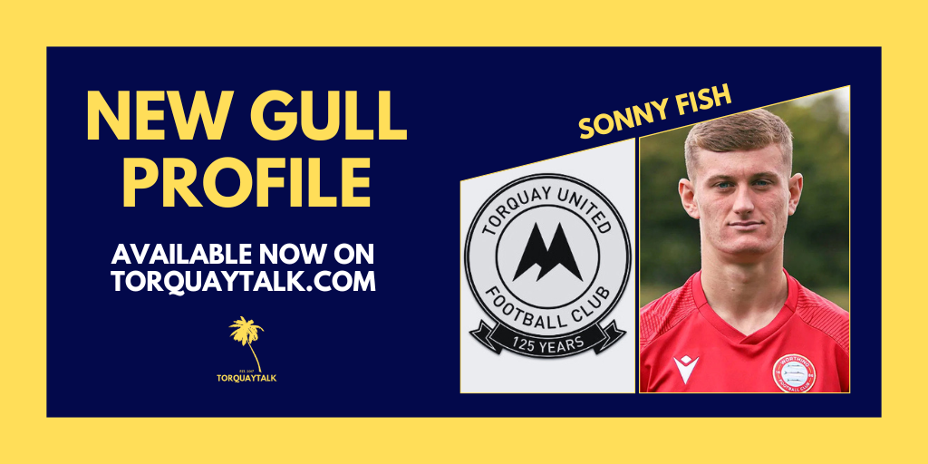 NEW GULL PROFILE – SONNY FISH by Sam Jones – TORQUAYTALK